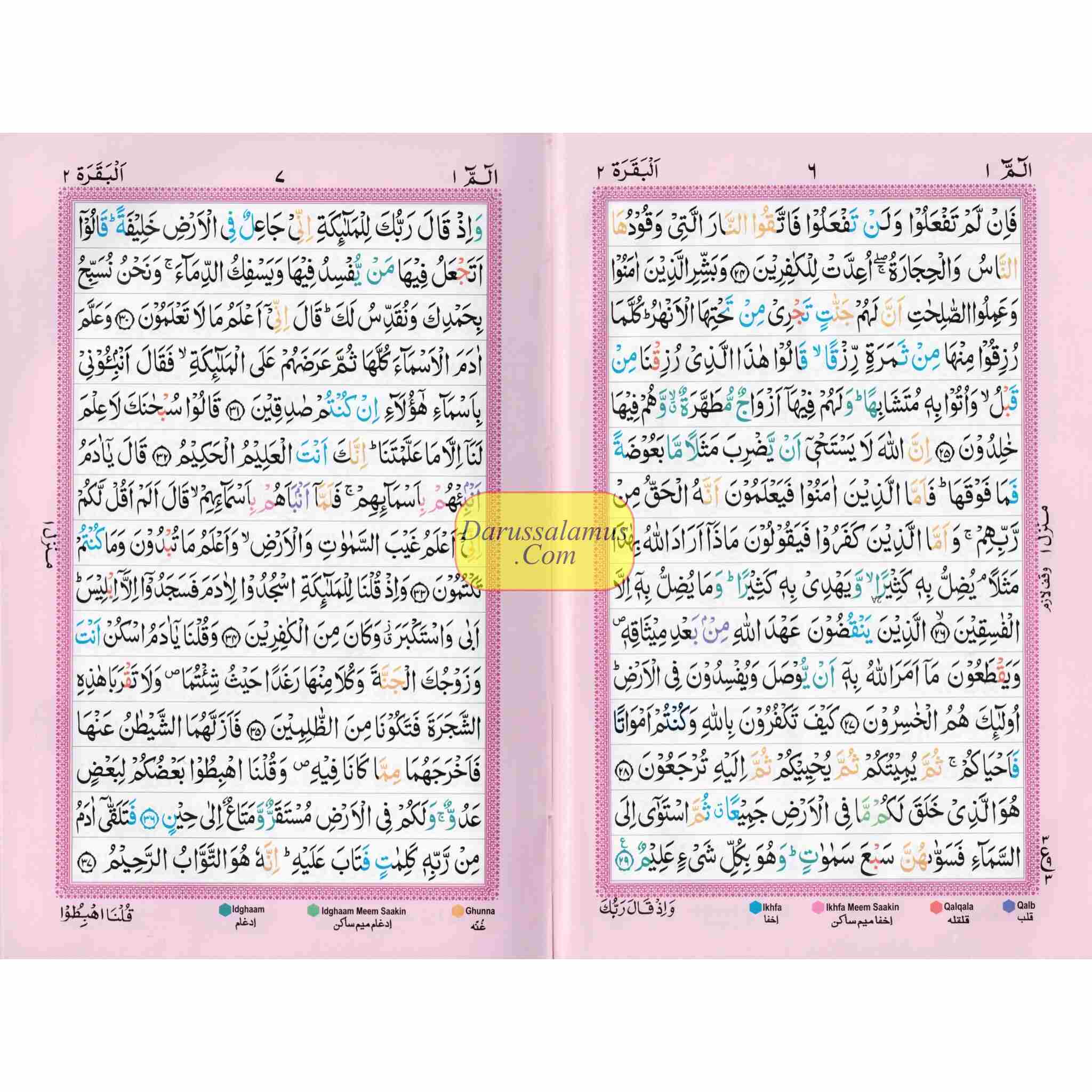 Holy Quran Color Coded 15 Line - Medium Size – DARUSSALAM US