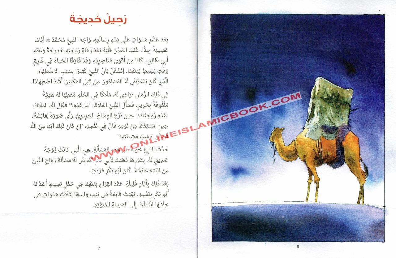 Aisha Siddiqa Wife of the Prophet Muhammad By Saniyasnain – DARUSSALAM US
